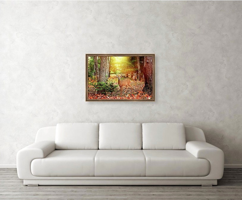 Buck at Sunset Wall Art, Whitetail Deer Autumn Wall Decor, Autumn Photo ...