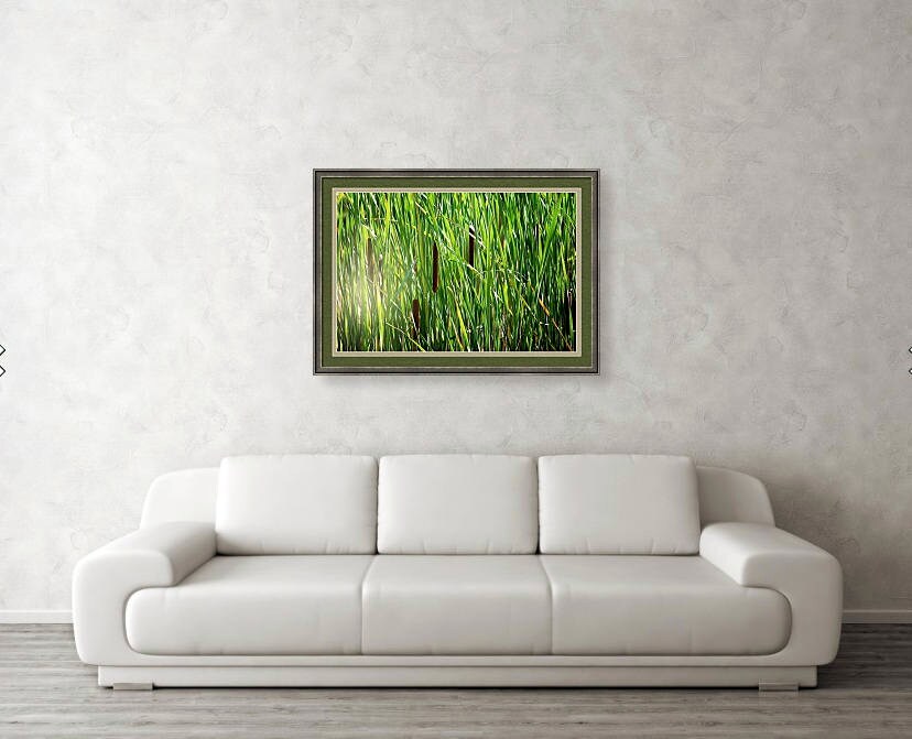 Cattail Wall Art Photo Marshland Print Wetlands Photography - Etsy