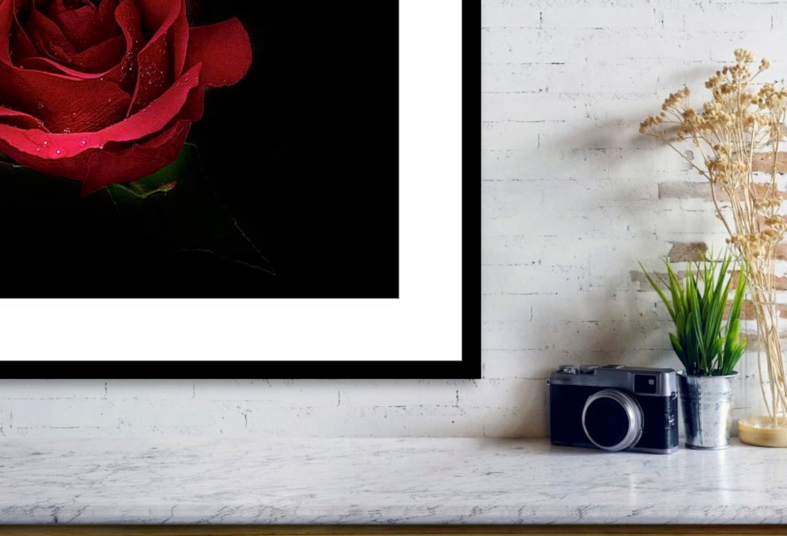 Dark Red Rose Photo Rustic Rose Fine Art Print Romantic Art - Etsy