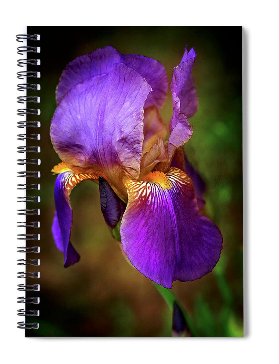 Purple Bearded Iris Notebook, Spiral Floral A5 Lined Diary, Life ...