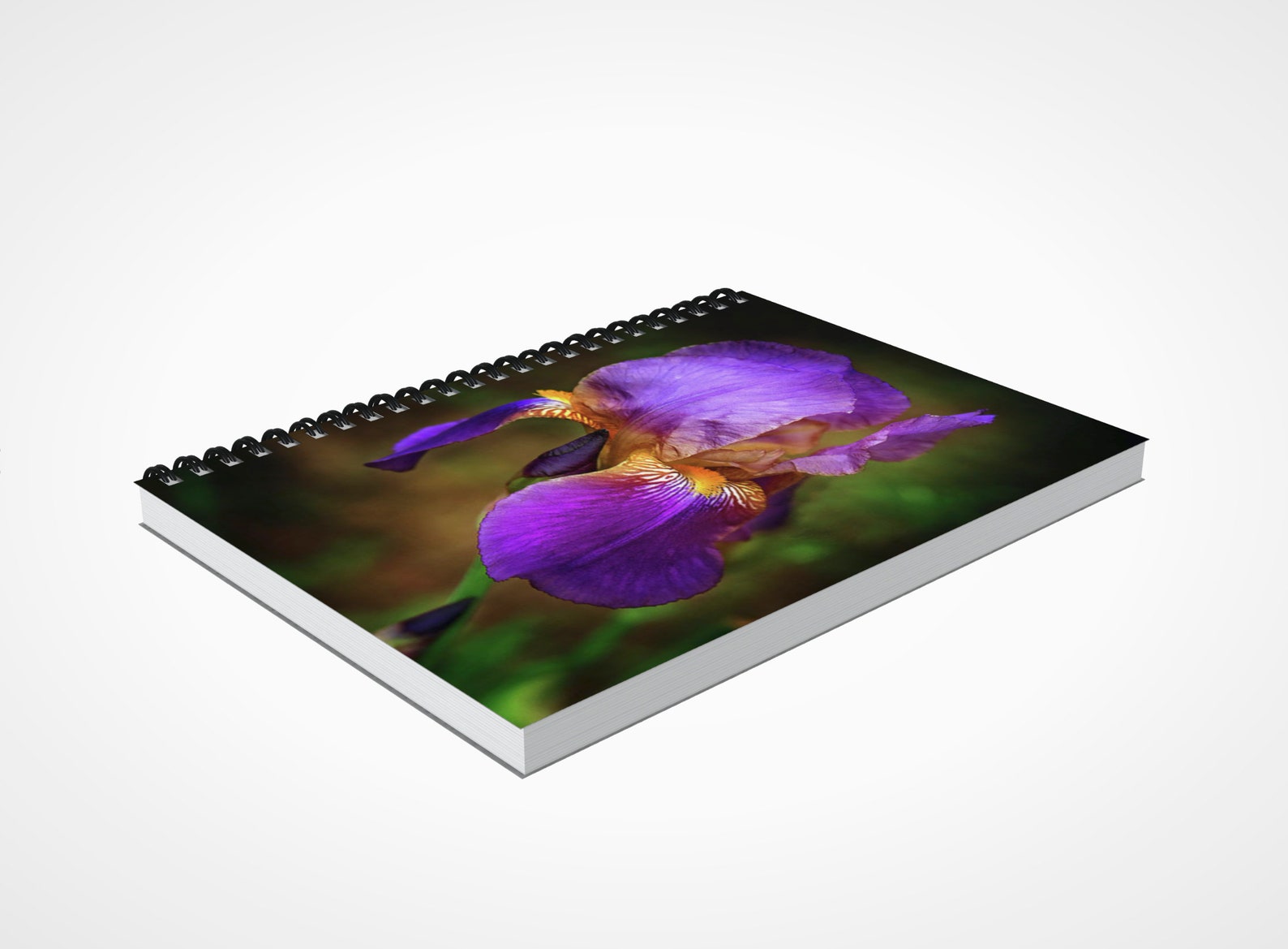 Purple Bearded Iris Notebook, Spiral Floral A5 Lined Diary, Life ...