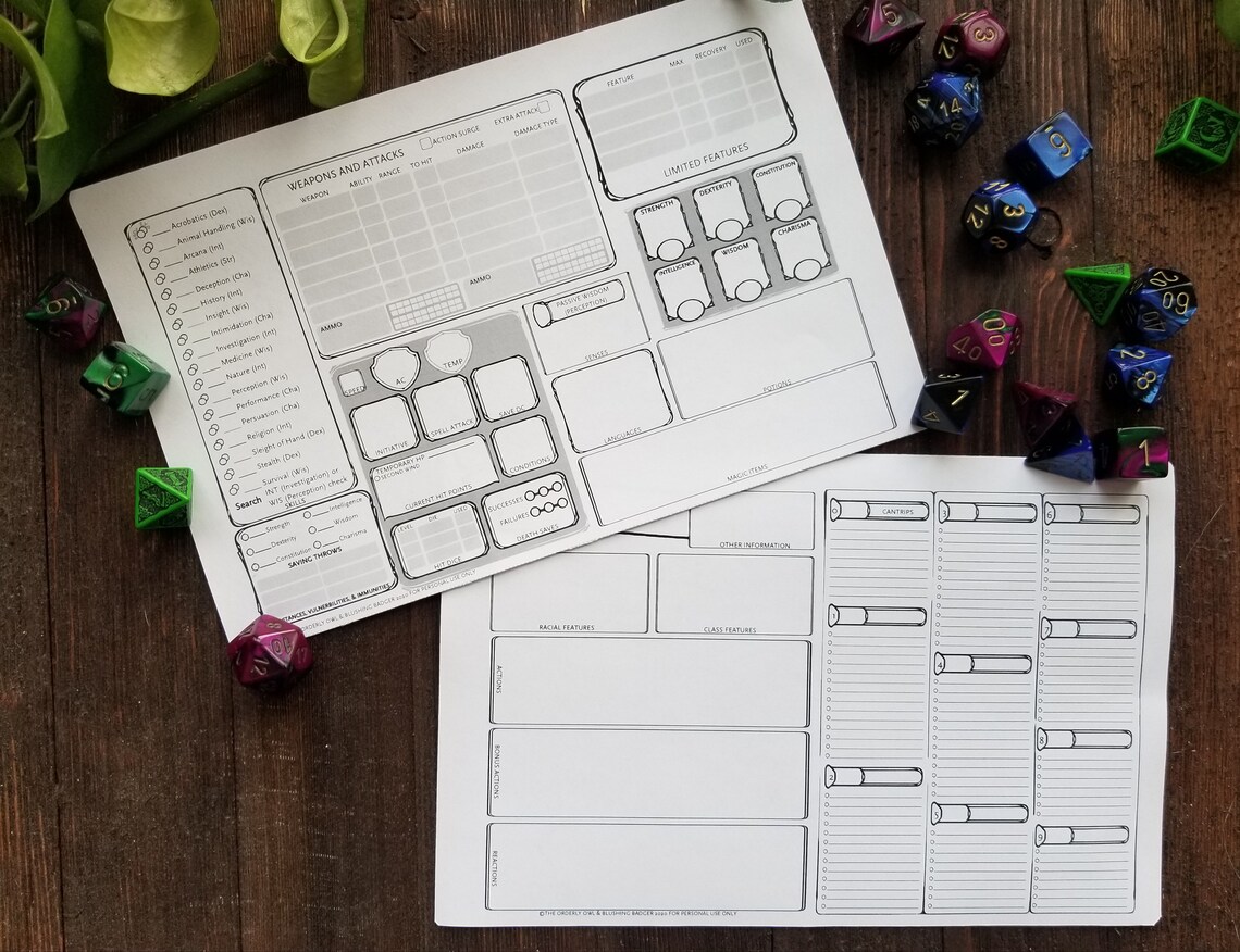 D&D Mini Character Sheet Filled Laminated Wet Erase/dry - Etsy Australia