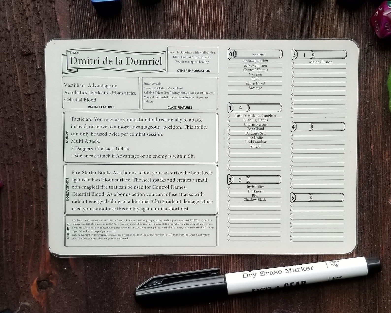D&D Mini Character Sheet Filled Laminated Wet Erase/dry - Etsy