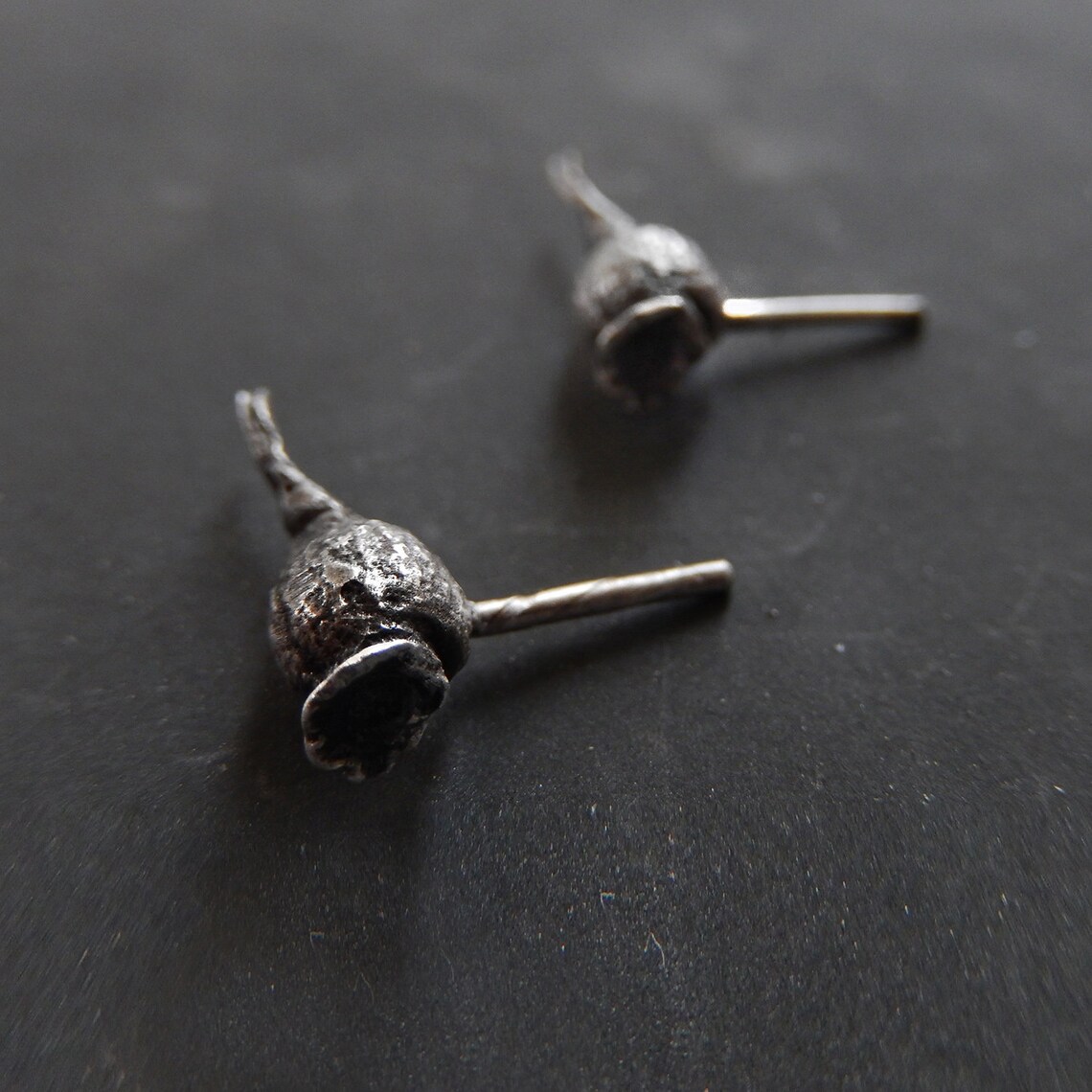 Dark silver seeds pods studs botanical earrings. Darkened | Etsy