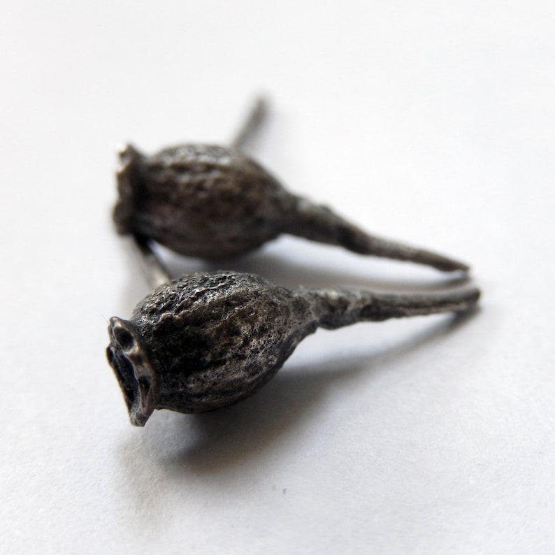 Dark Silver Seeds Pods Studs Botanical Earrings. Darkened - Etsy