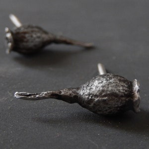 Dark Silver Seeds Pods Studs, Botanical Earrings. Darkened Sterling ...