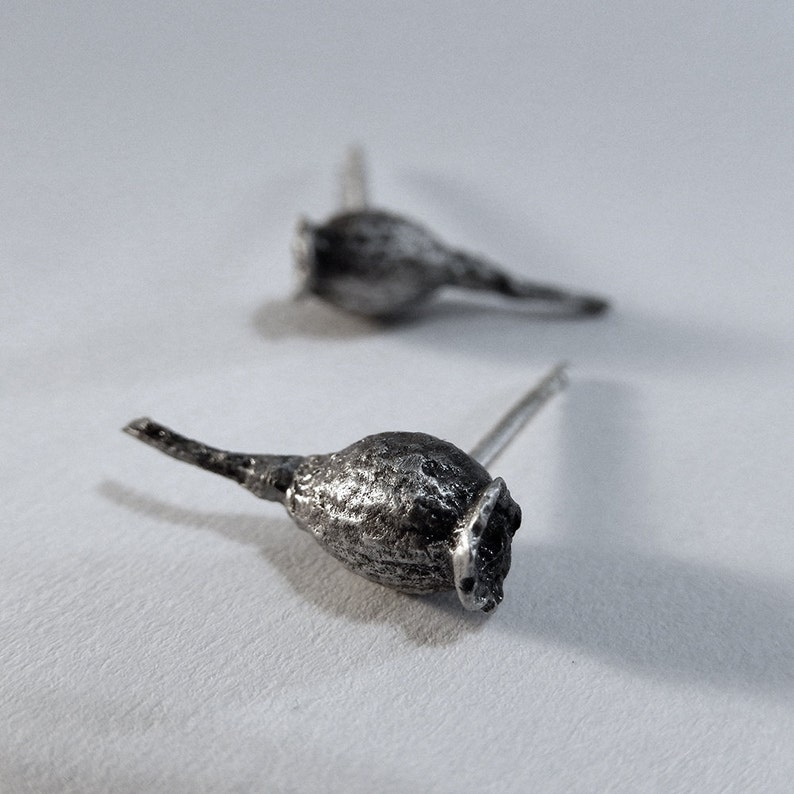 Dark Silver Seeds Pods Studs Botanical Earrings. Darkened - Etsy