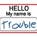 Embroidery Design Hello My Name is Trouble Applique Embroidery Sayings ...