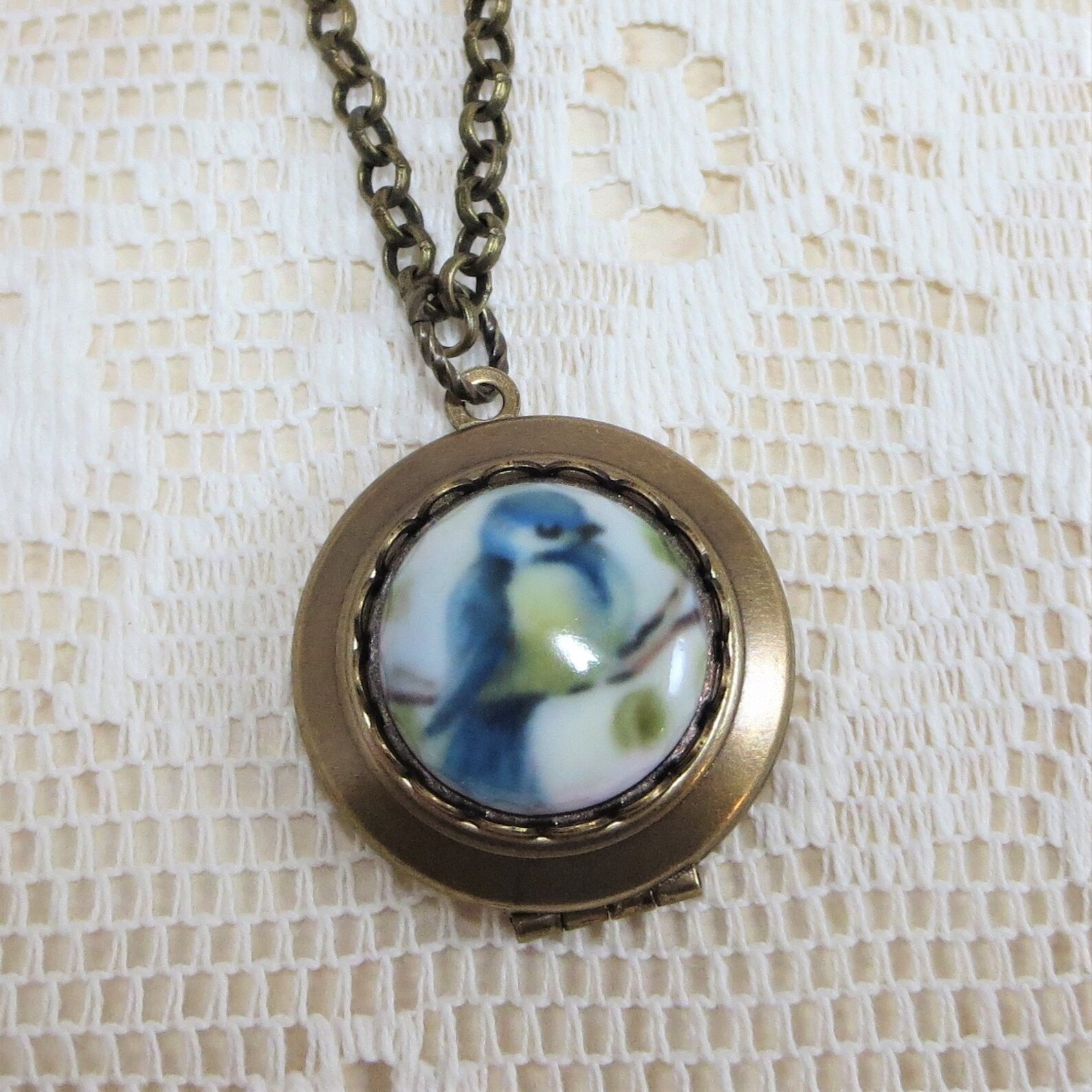 Bird Locket Blue Bird Locket Necklace Pendant Bluebird Photo | Etsy Bird Locket Blue Bird Locket Necklace Pendant Bluebird Photo | Etsy