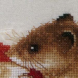 Little Mouse Cute Cross Stitch Kit by Lanarte Marjolein - Etsy
