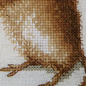 Little Mouse Cute Cross Stitch Kit by Lanarte Marjolein - Etsy