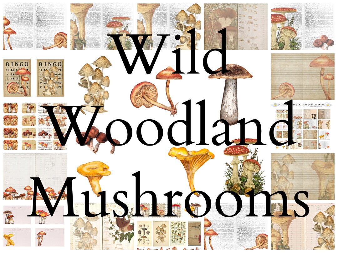 Wild Woodland Mushroom Digital Pages and Ephemera Printable Kit - Etsy