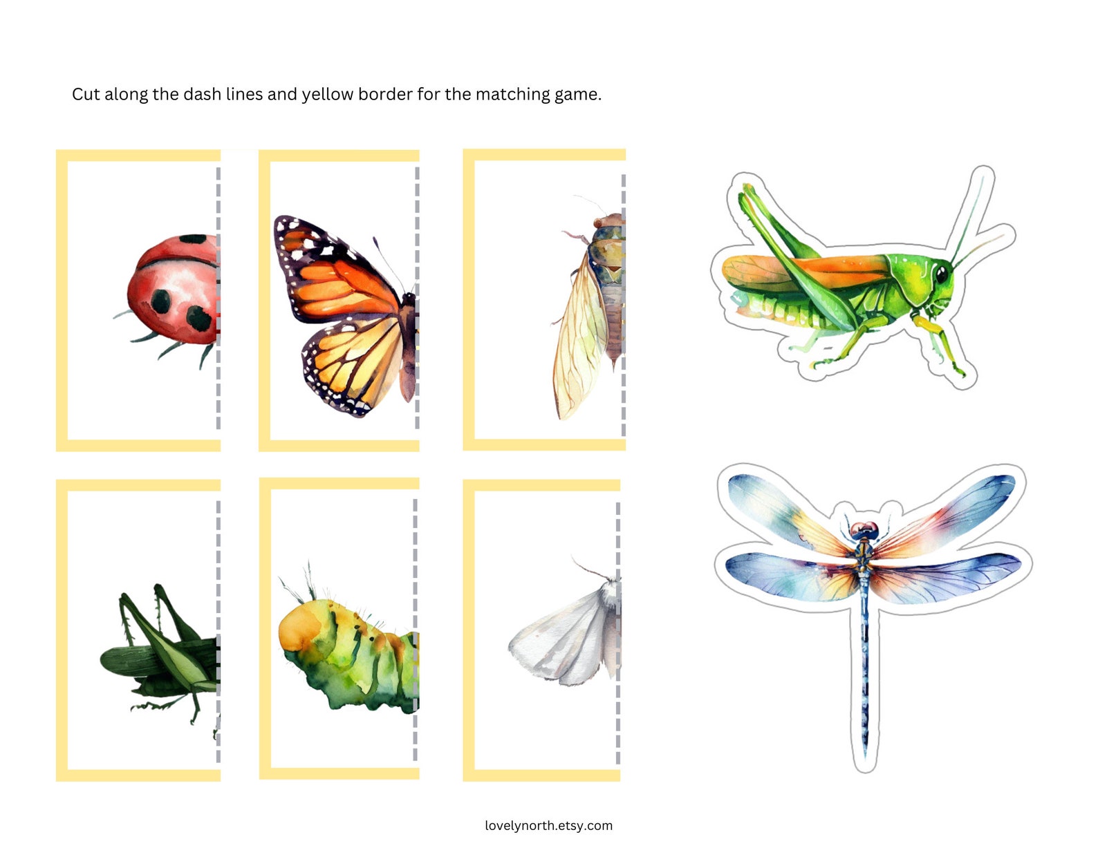 Insect Match and Sort Activity Pages, Insect Nature Theme, Montessori ...