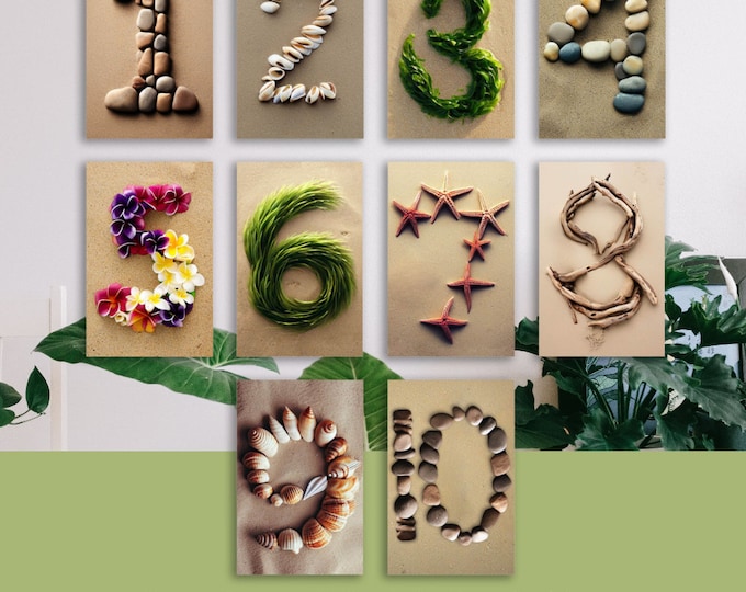 Nature Number Cards Beach and Sand Stone 0-10 Printable EYFS Resource ...