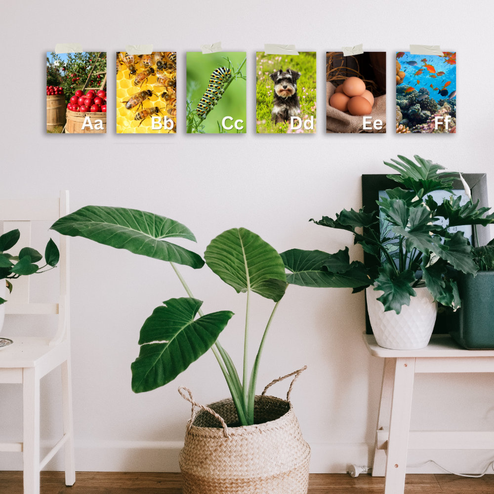 ABC Alphabet Photo Cards, Early Years Resource, Digital Download - Etsy