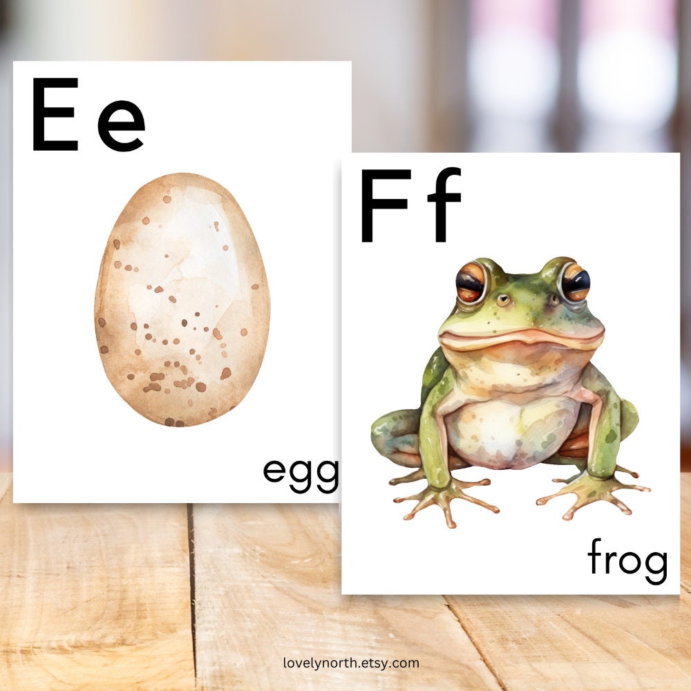 Alphabet Posters, Watercolor Illustrations, Large Format for Classroom ...
