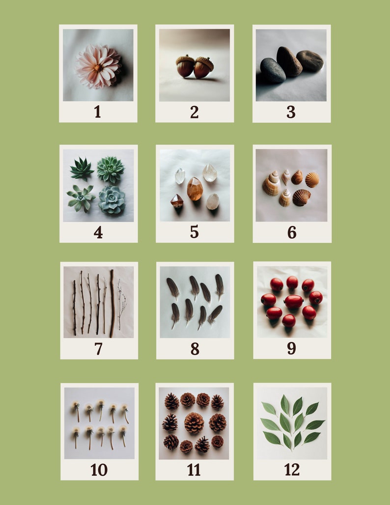 Number Cards 1-12 With Natural Objects for Counting, Polaroid Style ...
