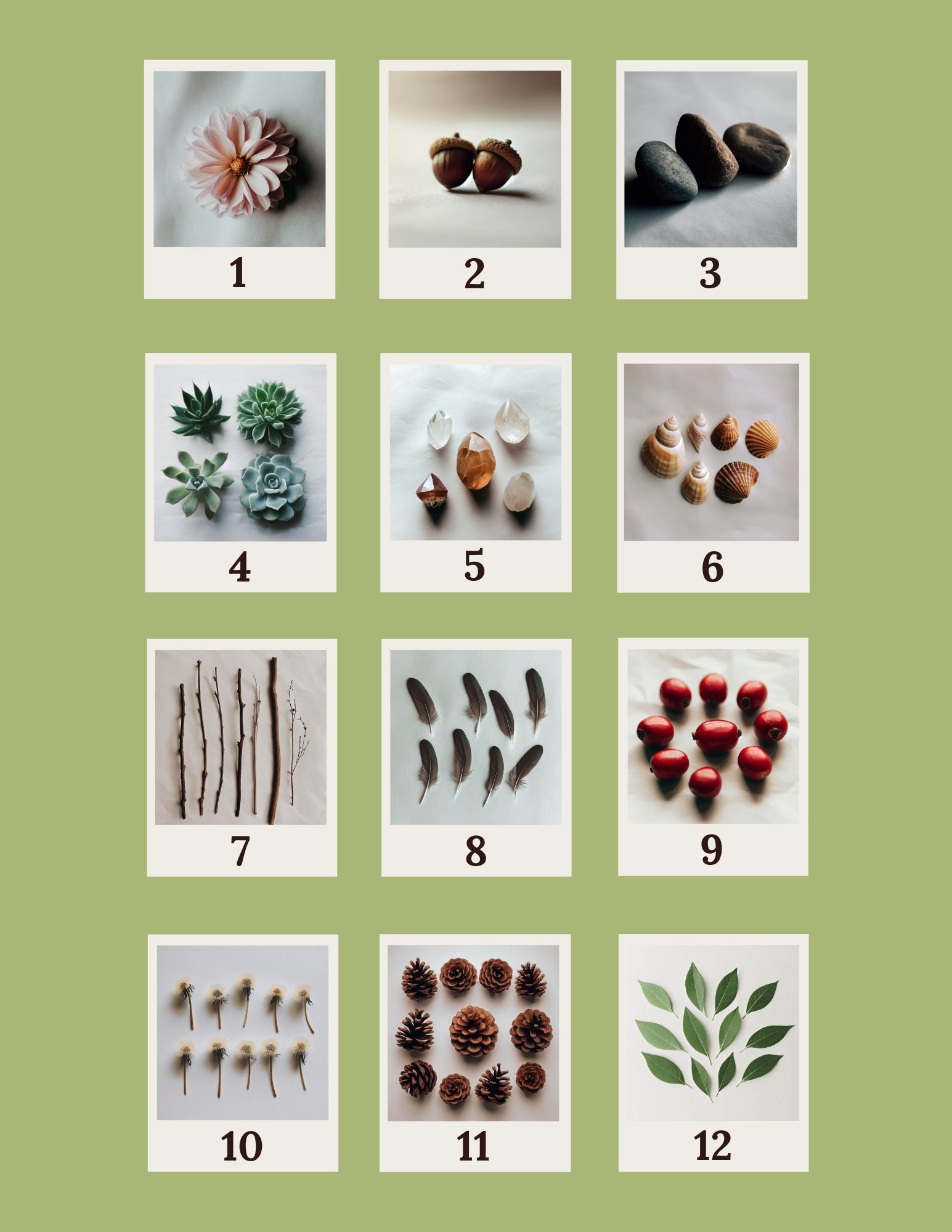 Number Cards 1-12 With Natural Objects for Counting, Polaroid Style ...