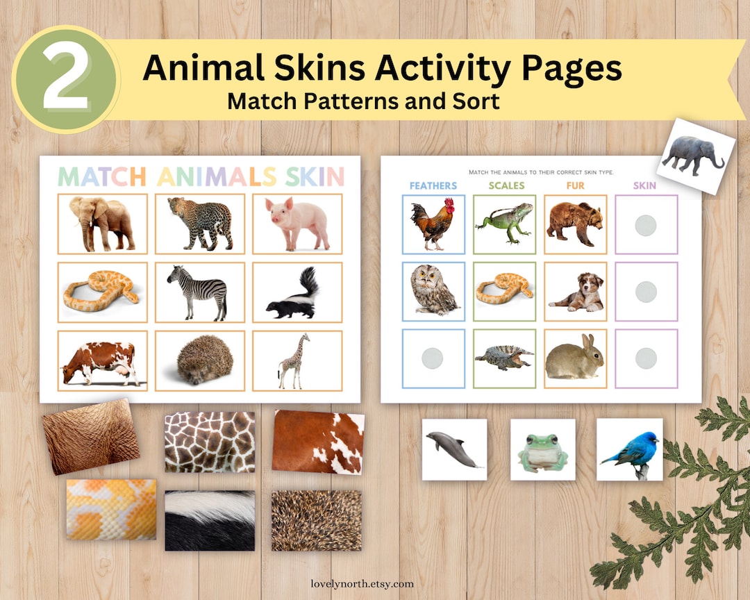 Animals Matching Skin Pattern, Busy Binder Pages, Toddler, Pre-k ...