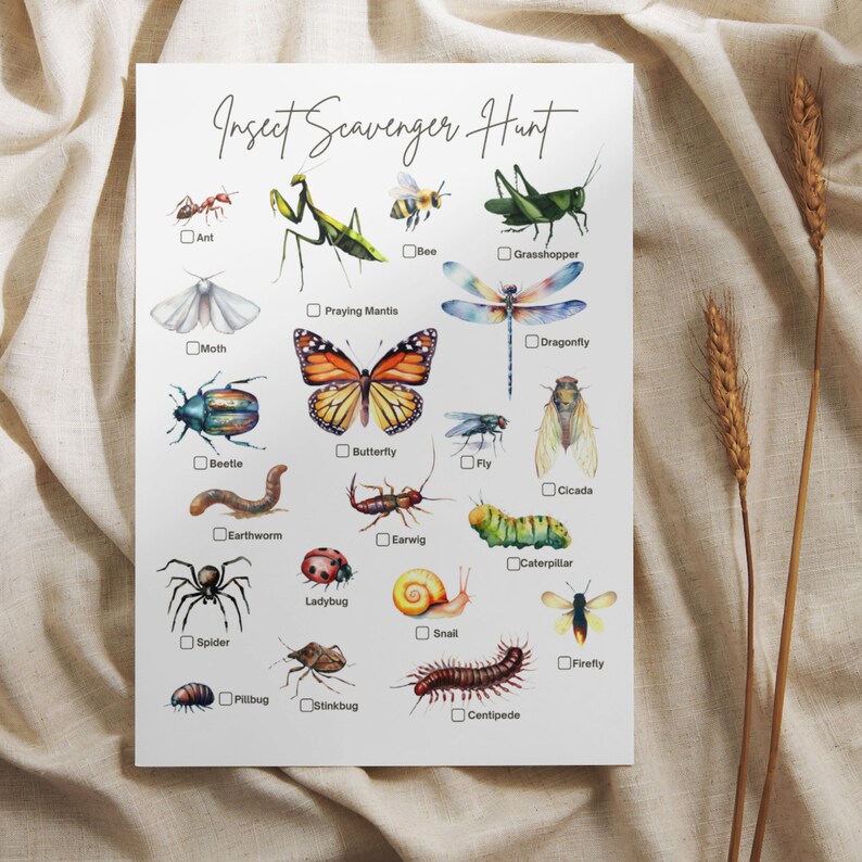 Insect Bug Scavenger Hunt Outdoor Activity Card - Etsy