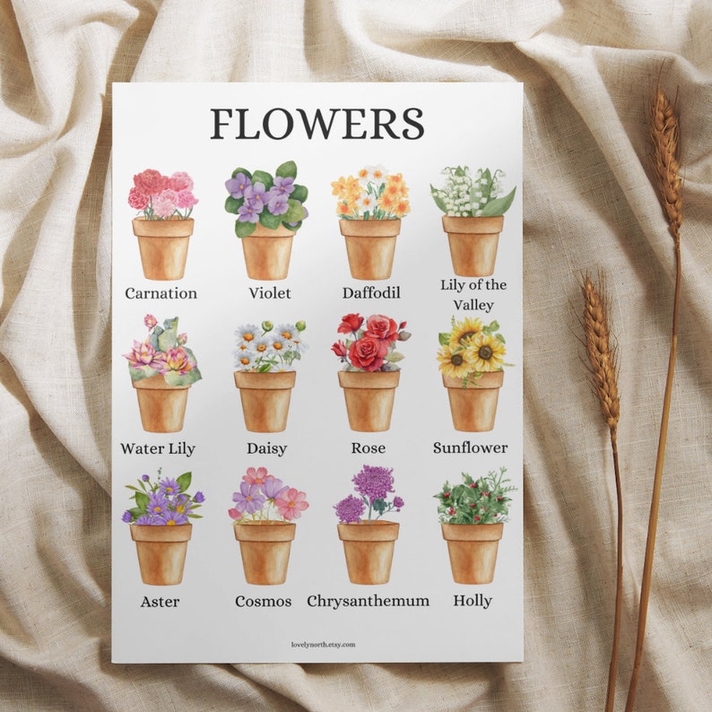 Birthday Month Flower Display | Classroom Birthday Decor | Editable ...