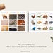 Animals Matching Skin Pattern, Busy Binder Pages, Toddler, Pre-k ...