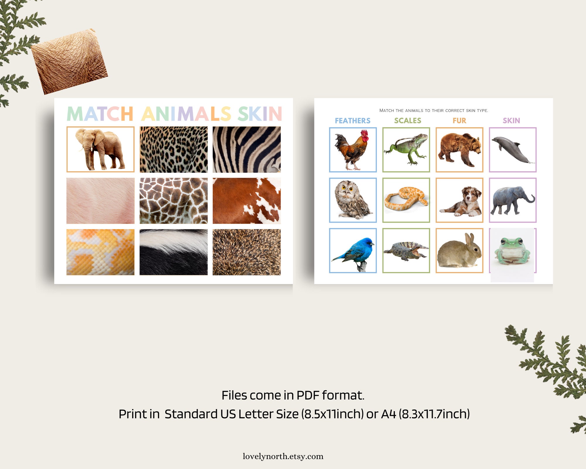 Animals Matching Skin Pattern, Busy Binder Pages, Toddler, Pre-k ...