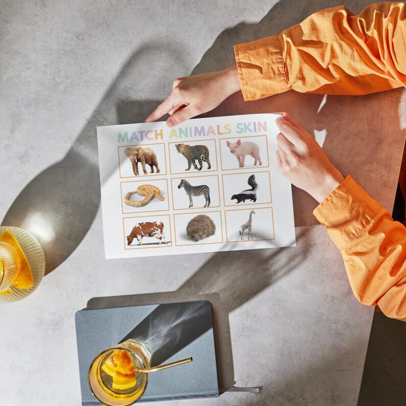 Animals Matching Skin Pattern, Busy Binder Pages, Toddler, Pre-k ...