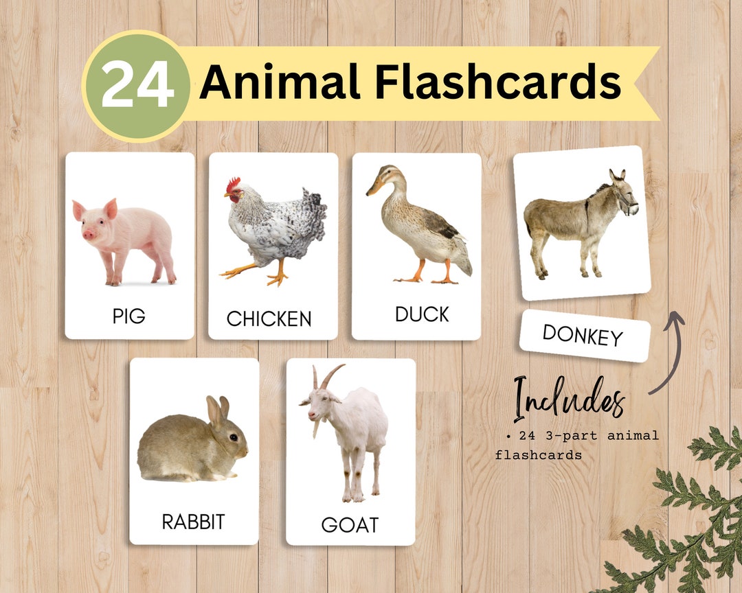 24 Farm Animal Flashcards, Montessori 3-part Nomenclature Cards - Etsy