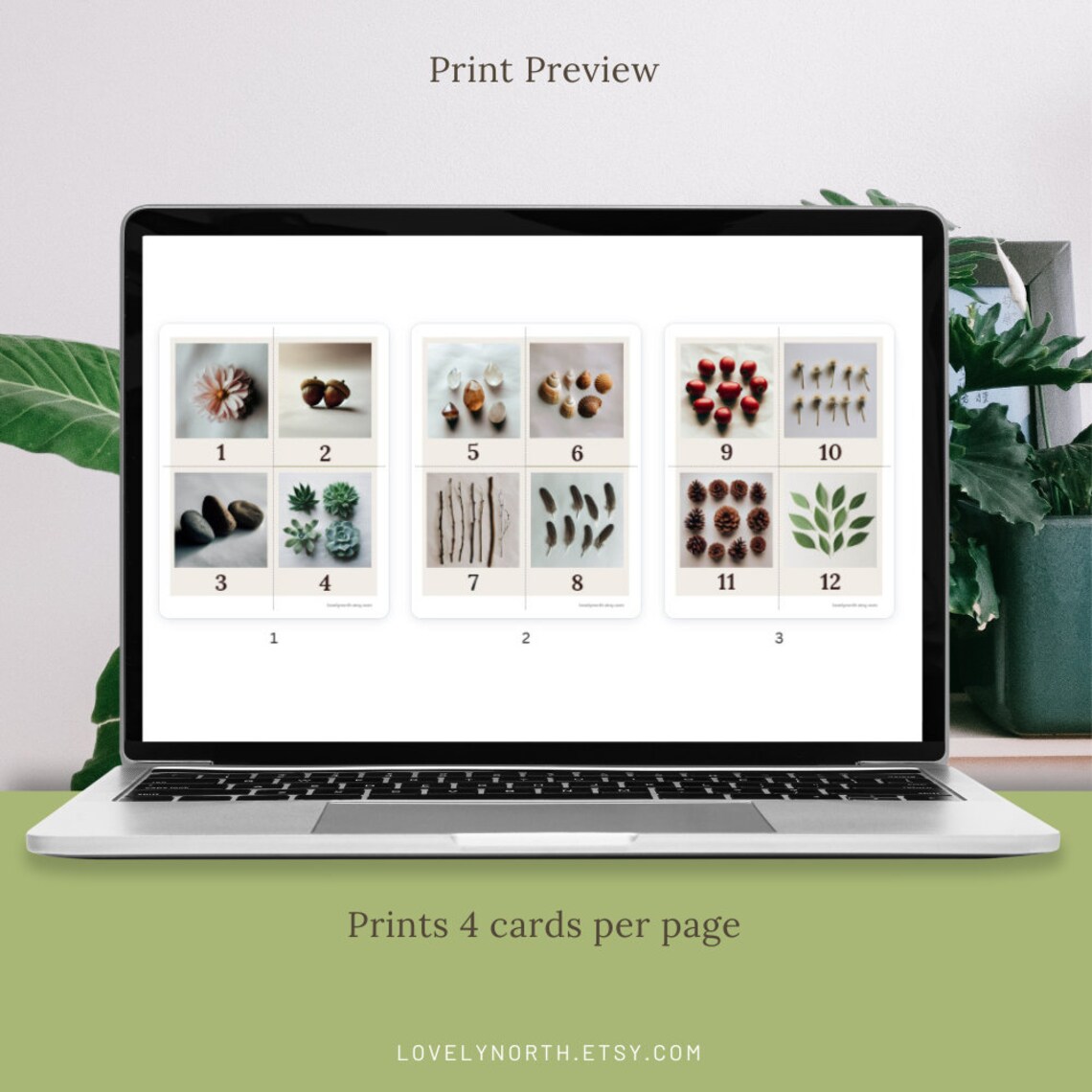 Number Cards 1-12 With Natural Objects for Counting, Polaroid Style ...