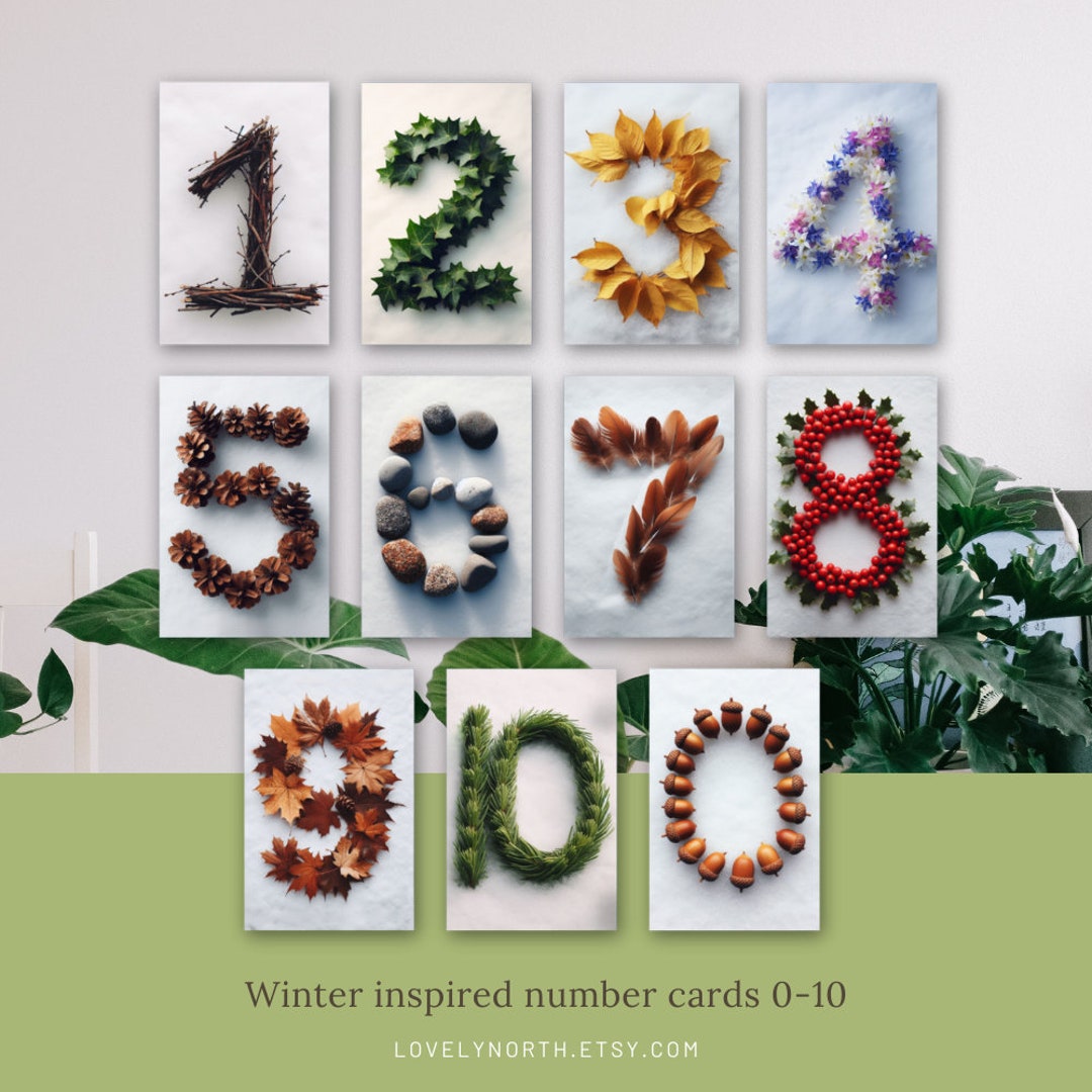 Winter Numbers 0-10, Reggio-inspired Flashcards - Etsy