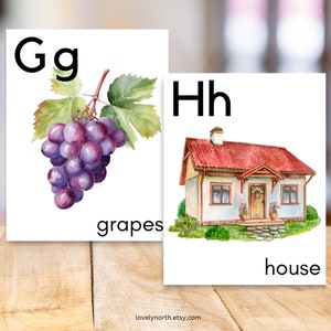 Alphabet Posters, Watercolor Illustrations, Large Format for Classroom ...