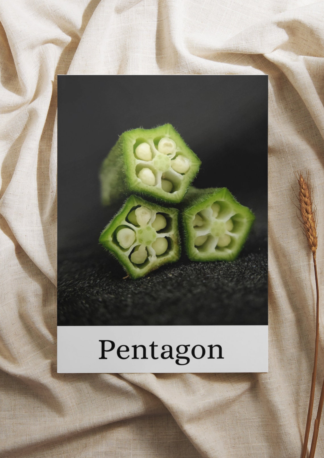Nature Shapes, High Resolution Photographs, Reggio-inspired Flashcards ...