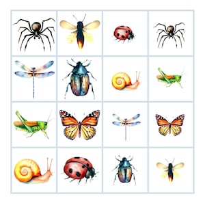 Insect Match and Sort Activity Pages, Insect Nature Theme, Montessori ...