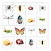Insect Match and Sort Activity Pages, Insect Nature Theme, Montessori ...