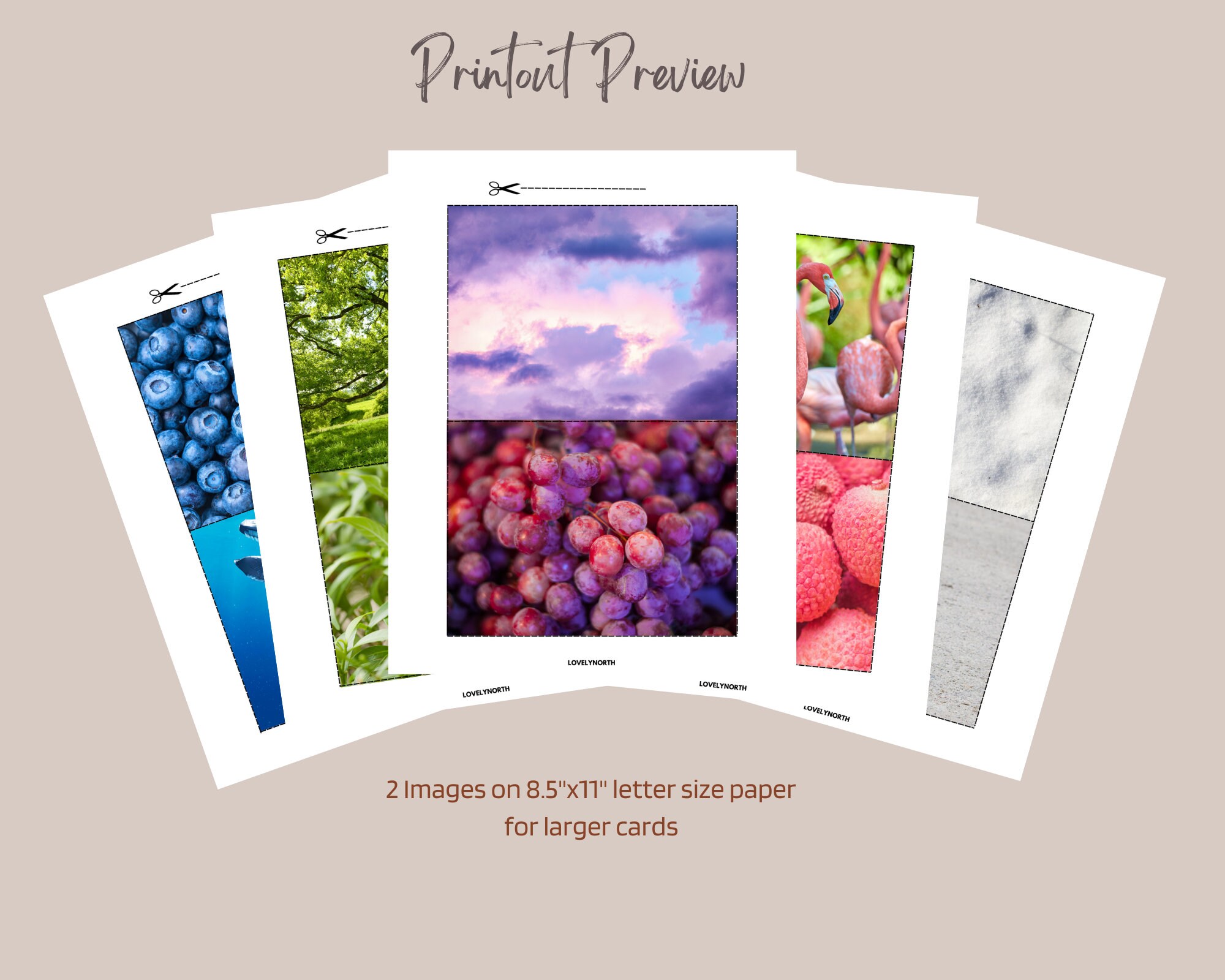 Toddler Color Matching Cards With Reference Cards, Reggio Inspired ...