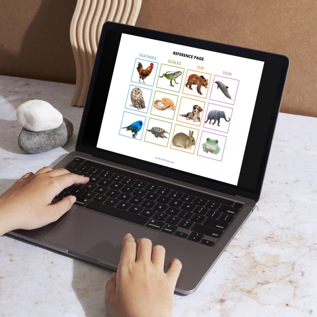 Animals Matching Skin Pattern, Busy Binder Pages, Toddler, Pre-k ...