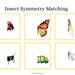 Insect Match and Sort Activity Pages, Insect Nature Theme, Montessori ...