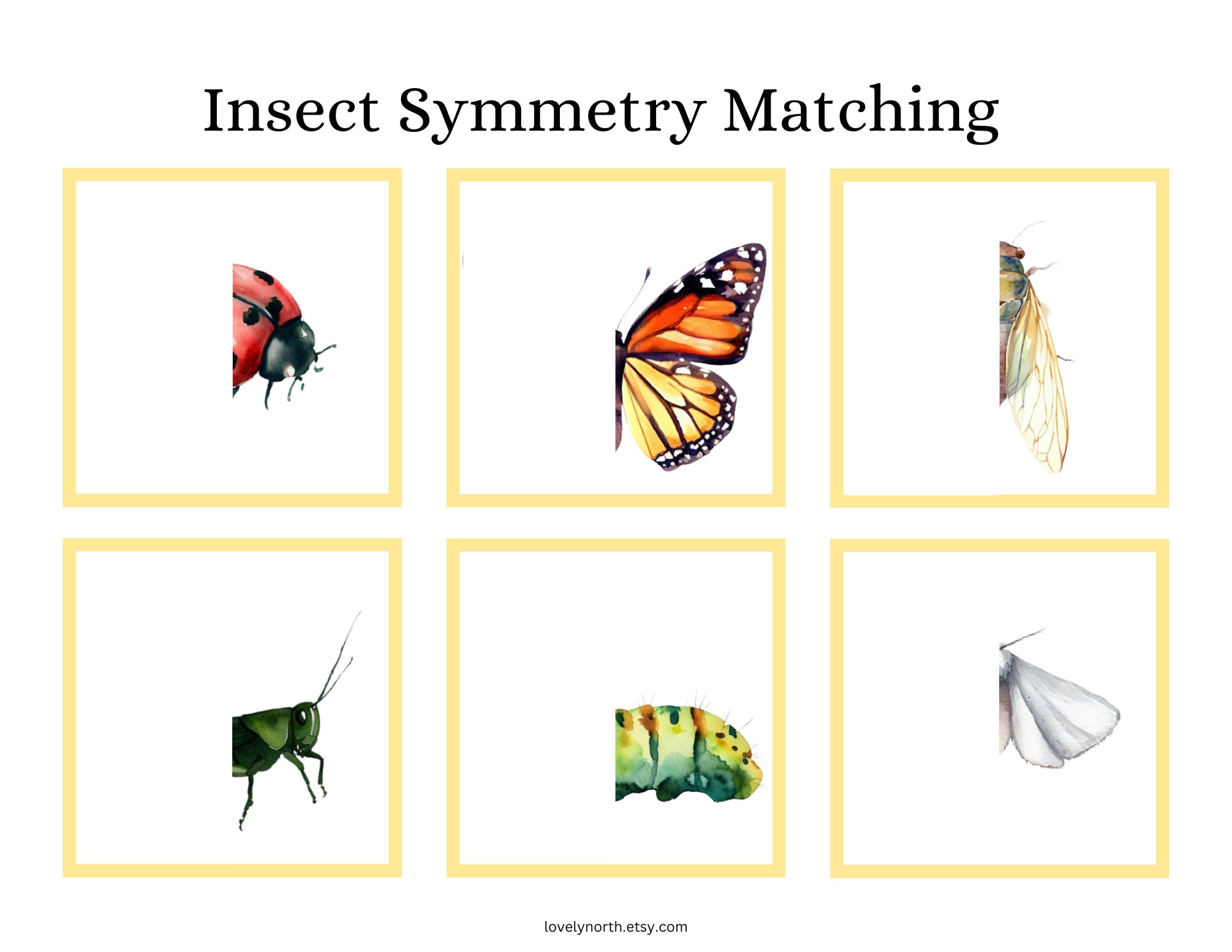 Insect Match and Sort Activity Pages, Insect Nature Theme, Montessori ...
