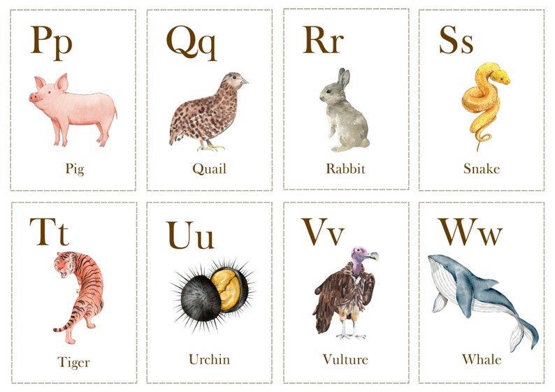 Animals ABC Flashcards, Animal Alphabet, 2 Sets (brown Border/beige ...
