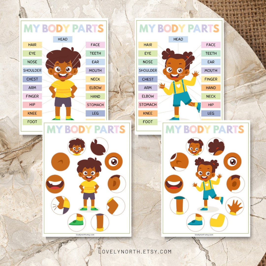 Body Parts Matching Bundle, Activity Worksheets, Preschool Busy Book ...