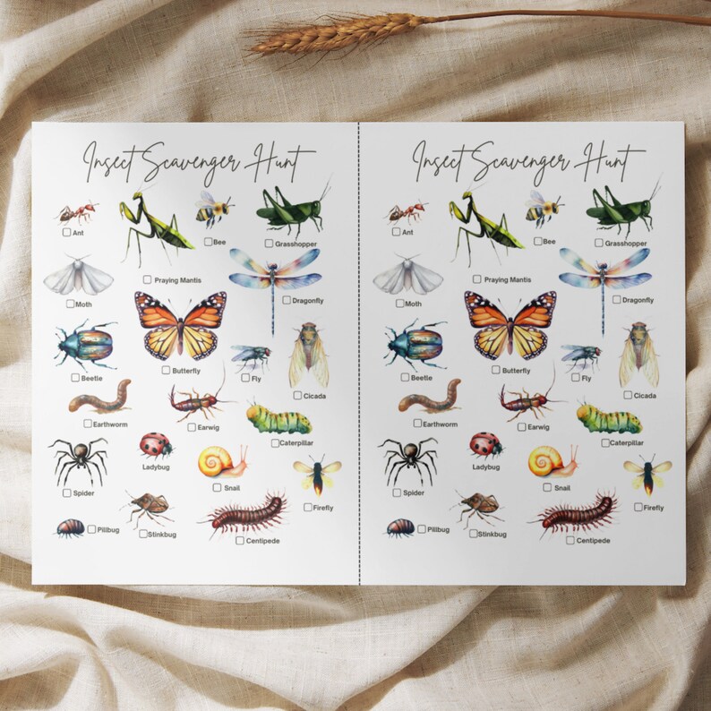 Insect Bug Scavenger Hunt Outdoor Activity Card - Etsy