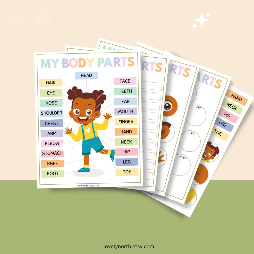 Body Parts Matching Bundle, Activity Worksheets, Preschool Busy Book ...