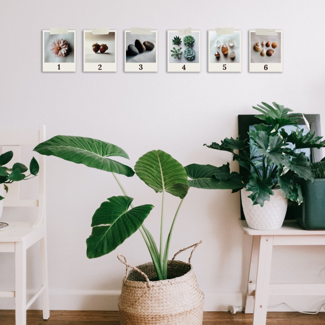 Number Cards 1-12 With Natural Objects for Counting, Polaroid Style ...