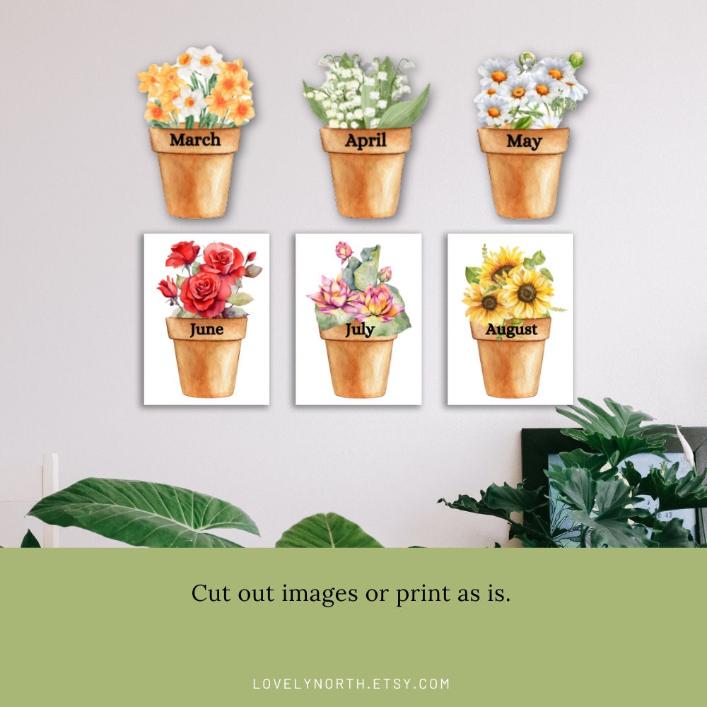 Birthday Month Flower Display Classroom Birthday Decor - Etsy