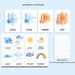 WEATHER FLASHCARDS, 16 Montessori Weather Cards, Flash Cards ...