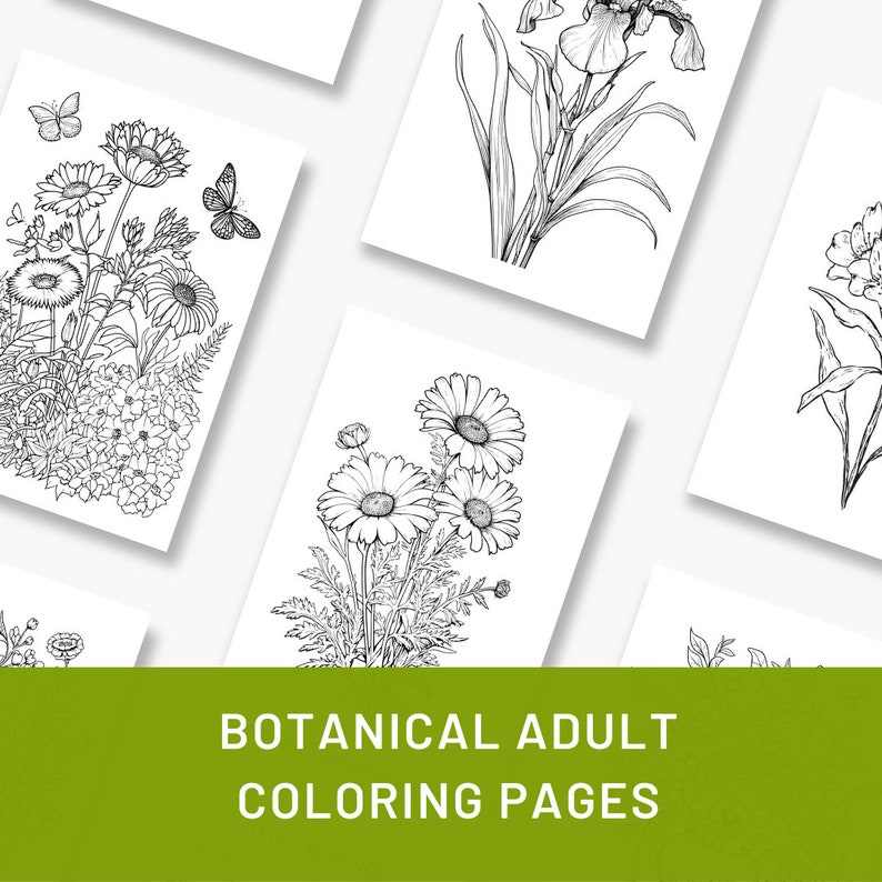 50 Adult Botanical Coloring Pages, Flowers, Butterflies, Bouquet - Etsy