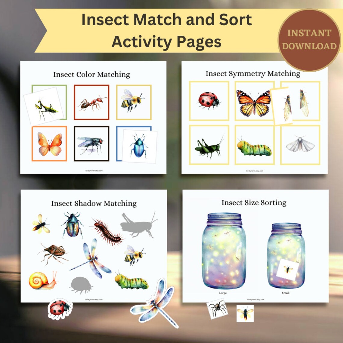 Insect Match and Sort Activity Pages, Insect Nature Theme, Montessori ...
