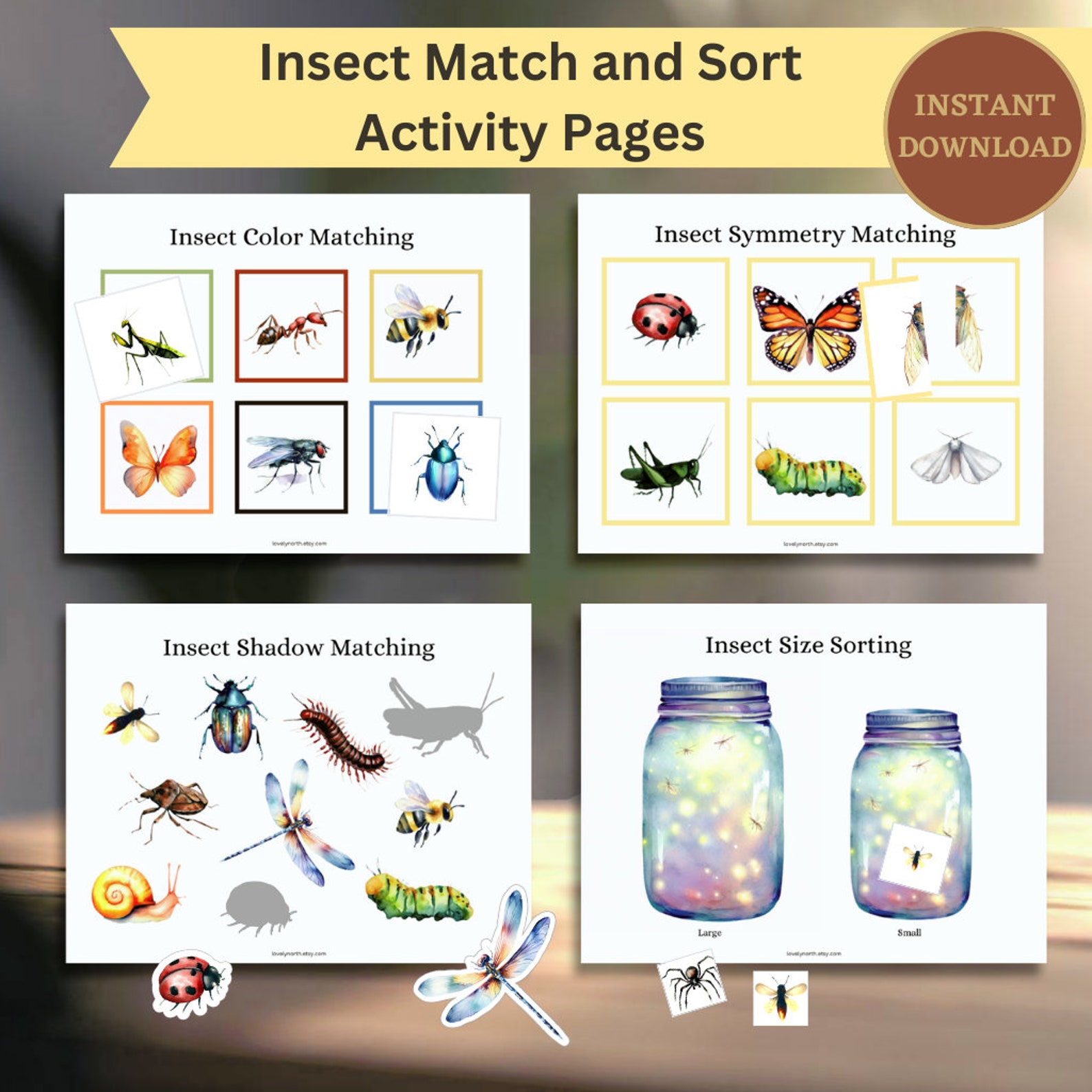 Insect Match and Sort Activity Pages, Insect Nature Theme, Montessori ...