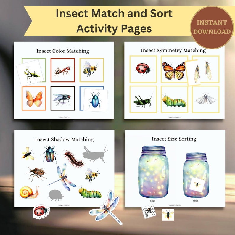 Insect Match and Sort Activity Pages, Insect Nature Theme, Montessori ...